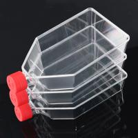 China Laboratory Sterile T175 Cell Culture Flask Surface Area 175 Cm² for sale