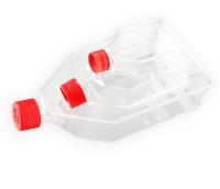 China 100% PP Cell Culture Flask For Cytology Laboratory Culture Products for sale