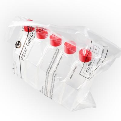 China Tissue Culture Vented Cap Cell Culture Flask T175 Amount Of Cells 50ml 175ml 225ml for sale
