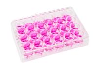 China Disposable Transparent Polystyrene 6 Well Bacterial Cell Culture Plate Flat Bottom for sale