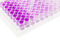 China Polystyrene 96 Well Cell Culture Plate For Experimental Research for sale