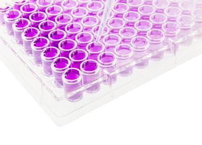 China Polystyrene 96 Well Cell Culture Plate For Experimental Research for sale