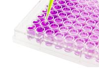 China Clear Bottom 96 Well Cell Culture Plate For Cell Culture Media Volume for sale