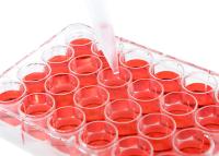 China Gamma Sterile Cell Culture Plate Lab Consumables Plastic Microplate 24 for sale