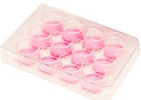 China CE ISO TC Treated 12 Well Cell Culture Plate Flat Bottom Tissue Culture Treated for sale