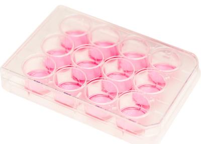 China CE ISO TC Treated 12 Well Cell Culture Plate Flat Bottom Tissue Culture Treated for sale