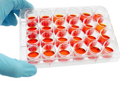 China Non Treated Micro 24 Well Cell Culture Plate With Insert for sale