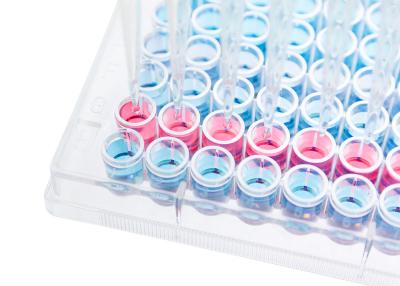 China PS Tissue Culturetreated Cell Culture Plate 6 12 24 48 96 384 Well for sale