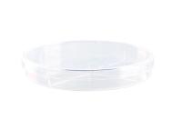 China Laboratory Services 150x15mm Large Petri Dishes Culturing Cells Disposability for sale