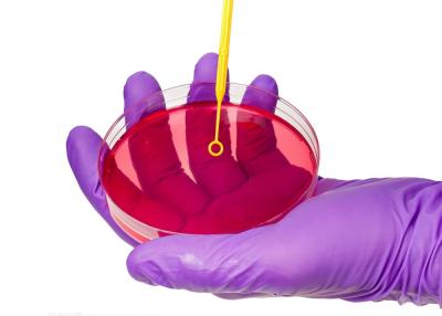 China Disposable Microbiology Plastic 1ul 10ul Inoculating Loop With Needle Cell Scraper for sale