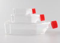China Culture Flask Plastic Tissue Cell Culture Flask Radical Factory for sale