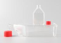 China Culture Flask Plastic Tissue Cell Culture Flask Radical Factory for sale
