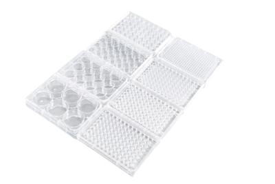 China Disposable Plastic Cell Culture Plate Flat Bottom Multi Well Plate for sale