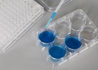China Disposable Plastic Cell Culture Plate Flat Bottom Multi Well Plate for sale