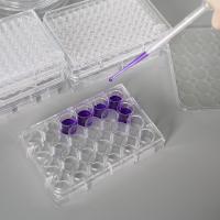 China Multi-Well Cell Culture Plate Cell And Tissue Culture Plates for sale