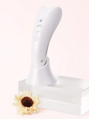 China Portable Massage Facial Beauty Device Face Lift Massager With Ems Function for sale