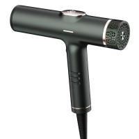 China Brushless Negative Ion Blow Dryer High Speed Salon Hair Dryer Mini Travel for sale