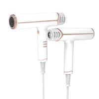 China BLDC Hair Dryer Hair dryer 1200W Concentrator Nozzle Professional AC Motor  Hair Dryer Salon Hair Dryer for sale