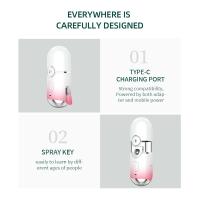 China Nano Face Moisturizer Machine Oem Portable Mini skin moisturizer machine for sale