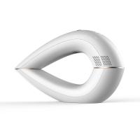 China IPL Mini Portable Facial Hair Removal Epilator Machine Home Handle for sale