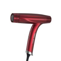 China Brushless Portable Blow Dryer Intelligent 1800w High Power Hair Dryer for sale