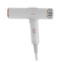 China Brushless BLDC Hair Dryer 1200W Negative Ion High Speed Mini For Salon Travel for sale