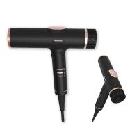 China Brushless BLDC Hair Dryer 1200W Negative Ion High Speed Mini For Salon Travel for sale