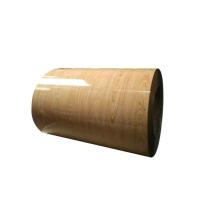 China Double Coated Prepainted Galvanized Steel Coil PPGI ASTM DX52D for sale