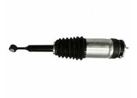 China Rear RH LH Air Suspension Shock Struts For Tesla Model X 2015-2019  W309255002 1027461-00-G for sale