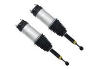 China Rear RH LH Air Suspension Shock Struts For Tesla Model X 2015-2019  W309255002 1027461-00-G for sale