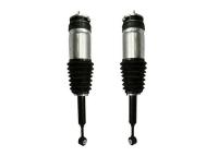 China Rear RH LH Air Suspension Shock Struts For Tesla Model X 2015-2019  W309255002 1027461-00-G for sale