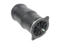 China 2010-2012 Mercedes Vito W639 Rear Air Bag Suspension Air Spring A6393280101 for sale