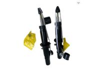 China 37126788765 37126788766 Front Left Right Shock Absorber Spring Damper For X5 E70 X6 E71 Electric Control for sale