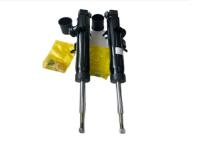 China 37126794549 37126788766 Rear Shock Absorber Driver Passenger Side For BMW X5 E70 X6 E71 for sale