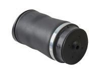China Rear L/R Air Shock Air Spring Bag For Mercedes Benz R320 R350 R500 R63 AMG W251 A2513200025 A2513200325 for sale