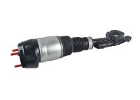 China A1663206813 Front Right Suspension Air Strut for sale
