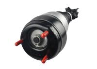China A1663206813 Front Right Suspension Air Strut for sale
