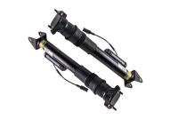 China A2513203031 Pair Rear Strut Shock Absorber With ADS Mercedes Benz R Class W251 R320 R350 R500 R63 AMG for sale