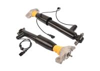 China Rear Left Right Shock Absorber Struts Assy DG9Z18125A DG9Z18125C For Lincoln MKZ 2013-2020 With Electric Control for sale