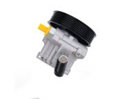 China 0024667501 Electric Power Steering Pump For Dodge Freightliner Sprinter 2500 3500 2.7L 2002-2006 for sale
