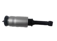 China RNB501250 Front Air Suspension Shock Absorber For Land Rover Range Rover Sport Discovery 3 / L320 for sale