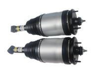 China RPD501100 Rear Pair Air Suspension Strut Shock Absorber For Range Rover Sport Discovery LR4 LR3 HSE 05-16 for sale