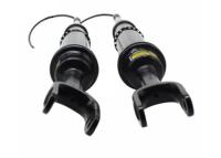 China 2pcs Front Suspension Shock Absorber Core For Audi A8 D3 4E 2003-2010 Electric Control 4E0616039AH 4E0616040 for sale