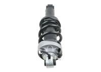 China Audi R8 2007-2015 Suspension Spring Shock Absorber Front Rear Left Right 420512019J 420412020AG for sale