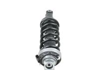 China Audi R8 2007-2015 Suspension Spring Shock Absorber Front Rear Left Right 420512019J 420412020AG for sale