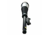 China A2223202513 Rear Left Air Suspension Shock Strut For Mercedes Benz S Class W222 2013- for sale