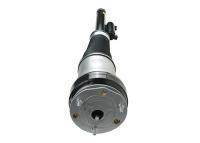 China A2223202513 Rear Left Air Suspension Shock Strut For Mercedes Benz S Class W222 2013- for sale