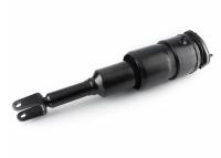 China 4802050341 For Lexus LS460 2007-2012 V8 4.6L 2WD Front Pair Air Suspension Shock Strut Absorber for sale