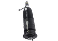 China A2153200413 A2153200513 ABC Strut Shock Absorber  Mercedes Benz W215 W220 Front Left / Right for sale