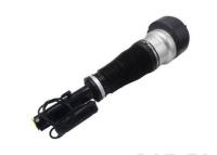 China A2213204913 A2213209313 Front Air Strut Suspension Air Shock For Mercedes Benz S Class W221 for sale
